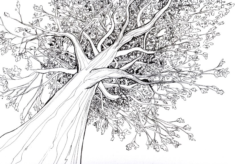 How To Draw A 3D Tree With Pencil Step By Step For Beginner Kids Video Tutorial Rock Draw
